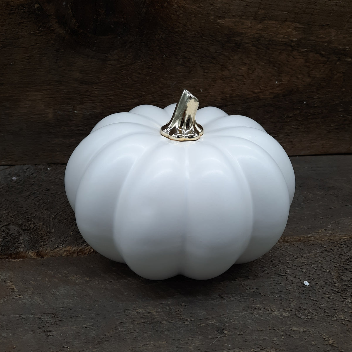 White Pumpkin – Carp Garden Centre - West Ottawa