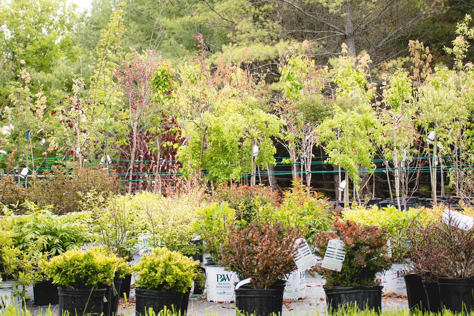 Carp Garden Centre Online Store – Carp Garden Centre - West Ottawa