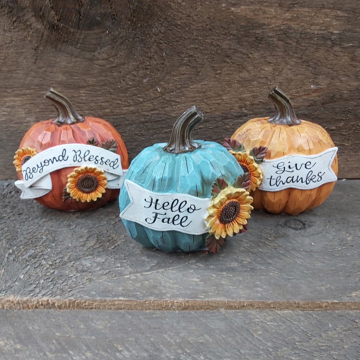 4.3" Pumpkin 'Resin Harvest 3 Assorted' – Carp Garden Centre - West Ottawa